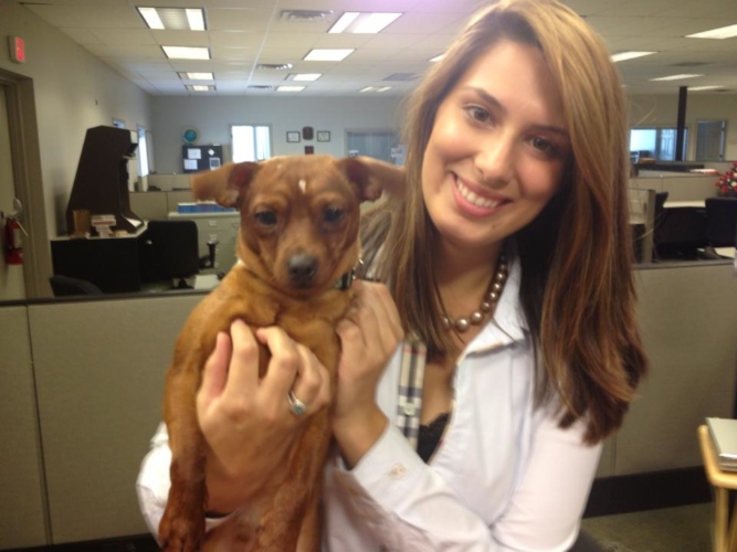 Top 9 Hottest Female TV Personalities in CVille - I Love CVille